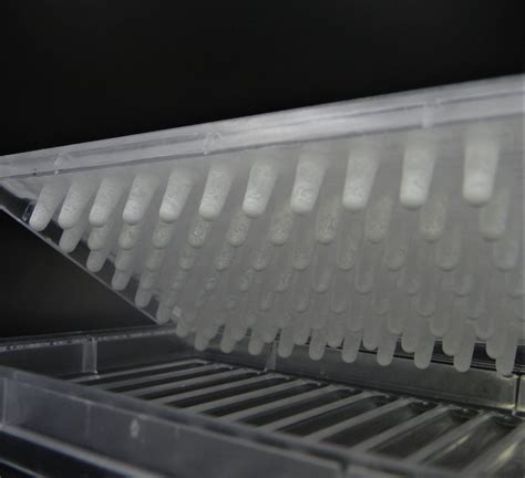 Mbec Assay® Biofilm Inoculator With Trough Base And Cellulose Coated Pegs