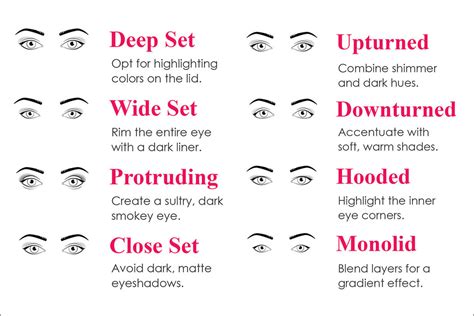 Wide Set Eyes Vs Close Set Eyes