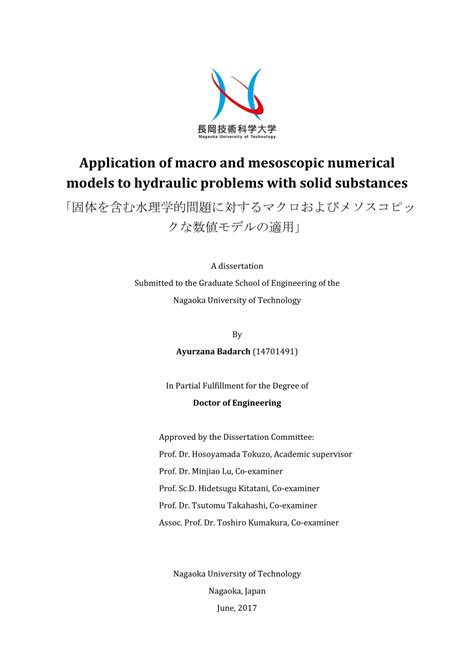 Pdf Application Of Macro And Mesoscopic Numerical Models To Hydraulic Problems With Solid