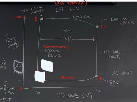 Aandp Pressurevolume Loop And Murmurs Flashcards Quizlet
