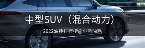 2022年度中国汽车油耗排行榜小熊油耗