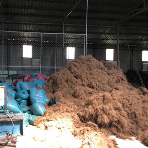 Growing Coco Peat Blocks Coconut Peat Block For Garden Coco Powder Made Into Peat Block For