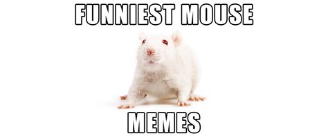 White Mouse Memes