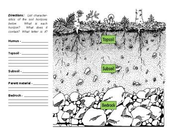 Soil Layers Diagram Ecology By Hemlock Science Shop TPT