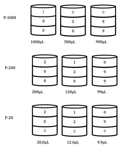 Genetics Lab Midterm Exam Flashcards Quizlet
