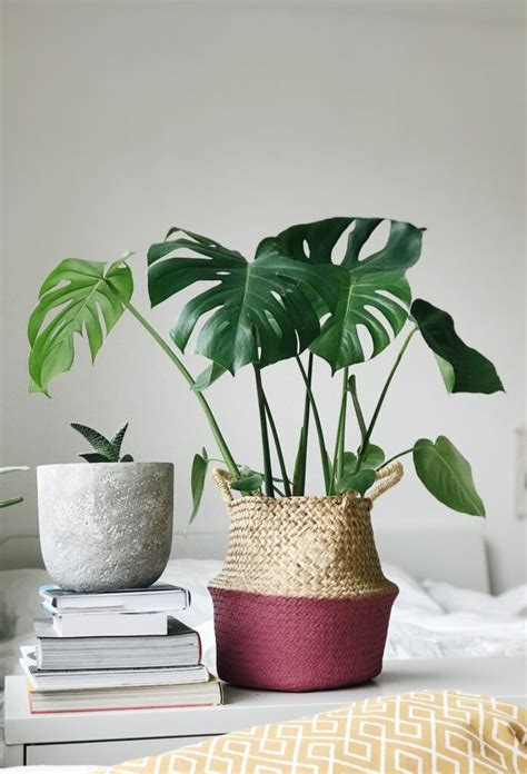 How To Limit Dangerous Toxins In Your Home