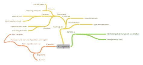 Ecosystem Coggle Diagram