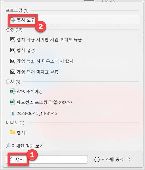 캡쳐도구 다운로드 방법