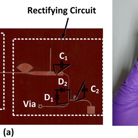 Fabricated Structures A Representing Antenna And Rectifying Circuit