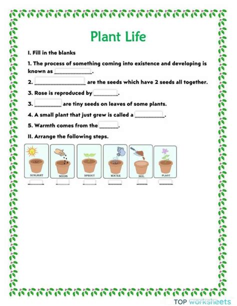 Plant Life Grade 5 Activity Interactive Worksheet Topworksheets