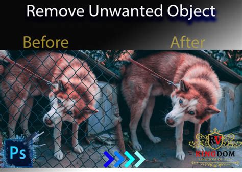 Unwanted Remove Object From Photo By Photoshop Editing Completion Of