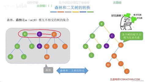 C、c 数据结构：树の存储结构和遍历c 树 存储方式和遍历 Csdn博客