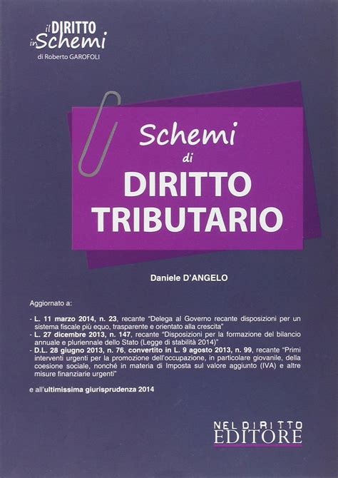 Amazon co jp Schemi di diritto tributario Daniele D Angelo 本