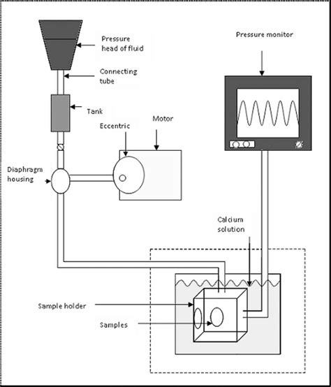 Schematic Of The Pulsatile Flow Circuit Used In The Experiment