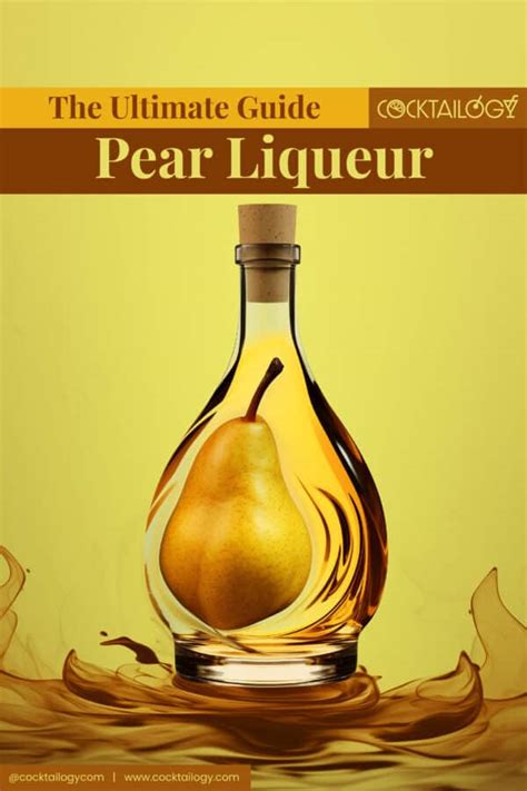 Blackberry Liqueur Crème De Mûre Things You Should Know