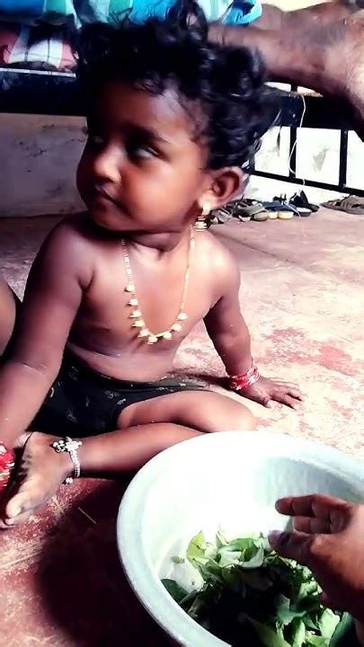மணத்தக்காளி கீரை Youtube