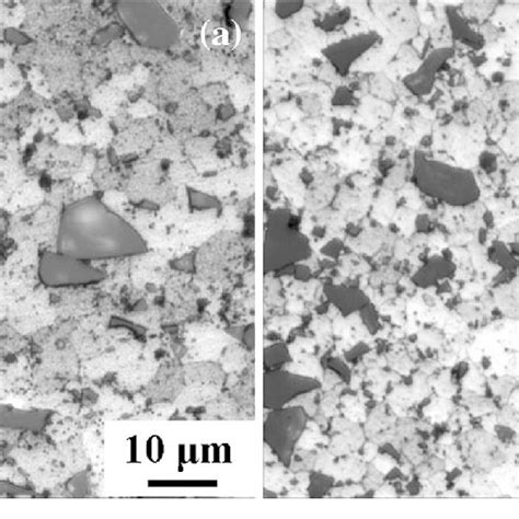 Typical Microstructure Showing Particle Distribution Of 15 Vol