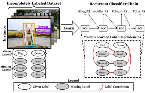 Robust Recurrent Classifier Chains For Multi Label Learning With