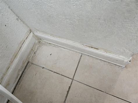 Are These Baseboards Salvage Able Or Just Replace Them Majority Of The House Looks Like This