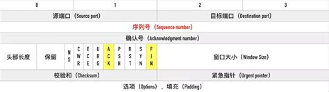 Tcp 四次挥手的过程tcp四次挥手过程 Csdn博客