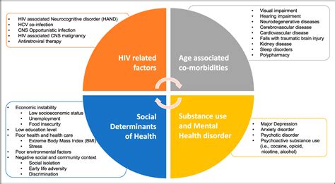 Figure 1 From An Overview Of Neurocognitive Impairment In Older People