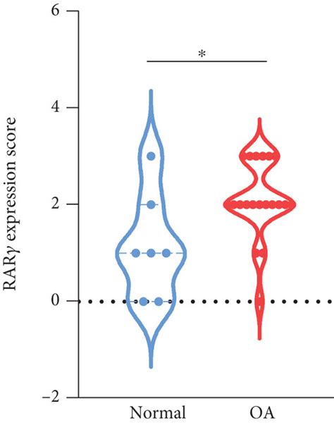 Rarγ Was High Expression In Human Oa Chondrocytes Compared With Normal