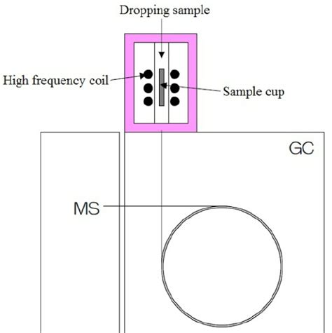 Configuration Of Py Gc Ms System Download Scientific Diagram