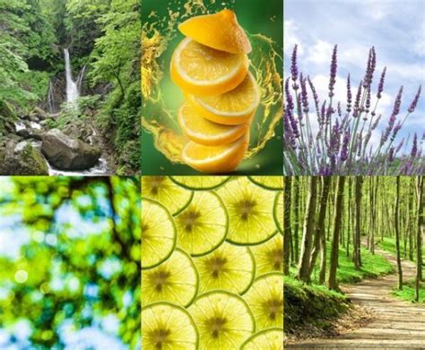 Arch Log — 【arch Log限定案内あり】オフィスや店舗施設の環境改善の一手！cseのアロマ空間デザインサービス