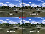 FS2004 Soft Fall Winter Tree Textures Misc FlightSim Com