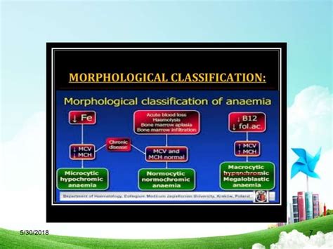 Classification Of Anaemia Ppt