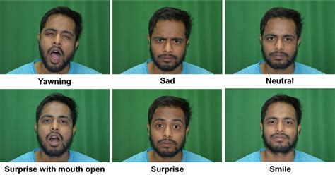 Force Level Of Posing Different Expressions For A Subject In The Iiitm Download Scientific