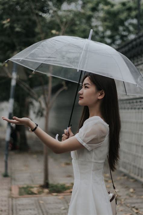 갈색 머리 거리 도시 거리 모델 보도 비 섬세한 수직 쐈어 아름다운 여성 우산 우아한 인도 젊은 패션