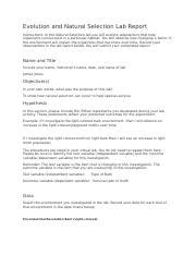 Evolution And Natural Selection Lab Report Docx Evolution And Natural Selection Lab Report