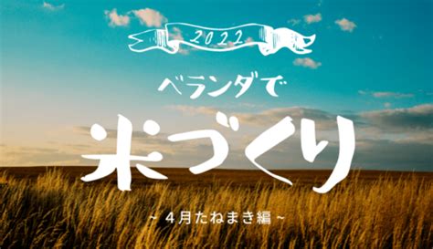 簡単キレイな貼り箱の作り方① ラグドールと暮らす