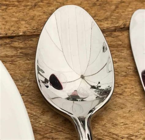 The Spider And The Spoon Baldock Bard