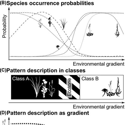 A And B Species Distributions Along An Environmental Gradient