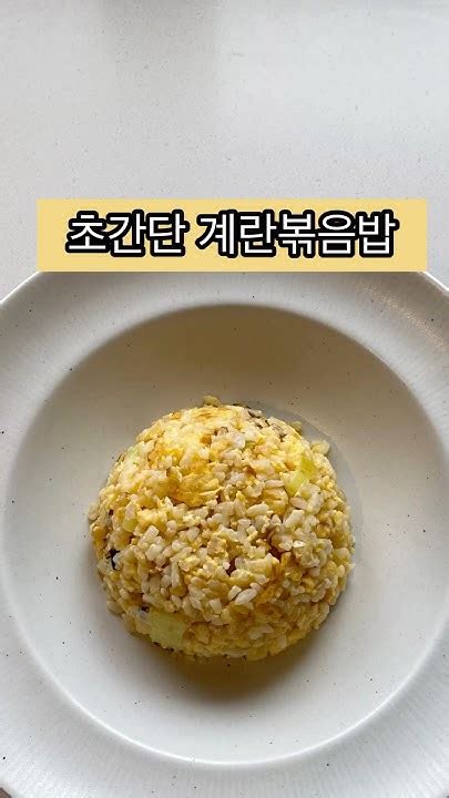 집에 계란과 파밖에 없다면 계란볶음밥 Youtube