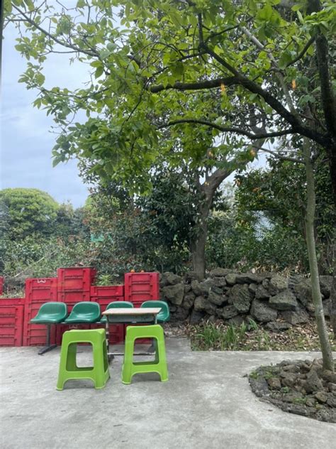 제주도 먹투어5 제주도 서귀포 평화로운 자연친화적 카페 네이버 블로그