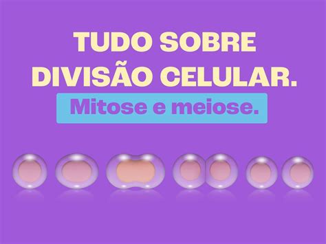 Exercícios Sobre Mitose E Meiose Toda Matéria