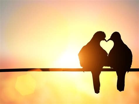 Sex Mayhem Hundreds Of Nyers Complain Of Neighbors Noisy Coitus R