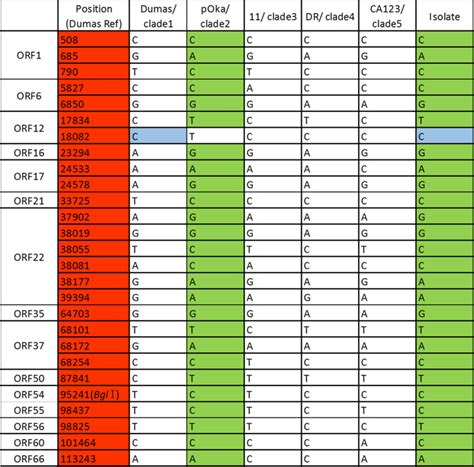 Genomic Sequencing Revealed Recombination Event Between Clade 1 And