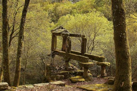 무료 사진 나무 국립 공원 나무 자연 풍경 숲