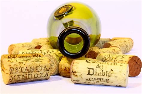 Bottle And Glass Inspector Interview Questions And Answers