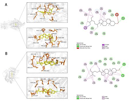 何以至此 的想法 分子对接代做Auto dockpymol 知乎