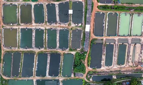 Microbiome Sequencing For Adaptive Production Management In Ponds