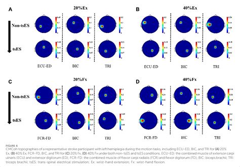 Figure 6 From Effects Of Non Invasive Cervical Spinal Cord