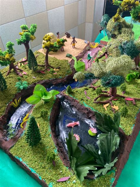 Miniature Ecosystem Models