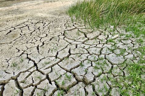 Regresa El Fenómeno De La Niña ¿en Qué Consiste Y Cómo Impactará A Chile