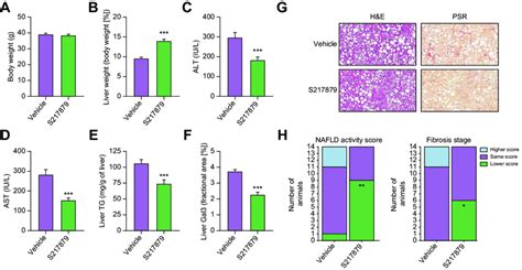 S217879 Reduced Nash Progression And Liver Fibrosis In Dio Nash Mice Download Scientific