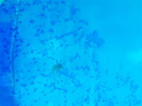 Chromium Oxide Finish For Marine Environments Spengler Industries